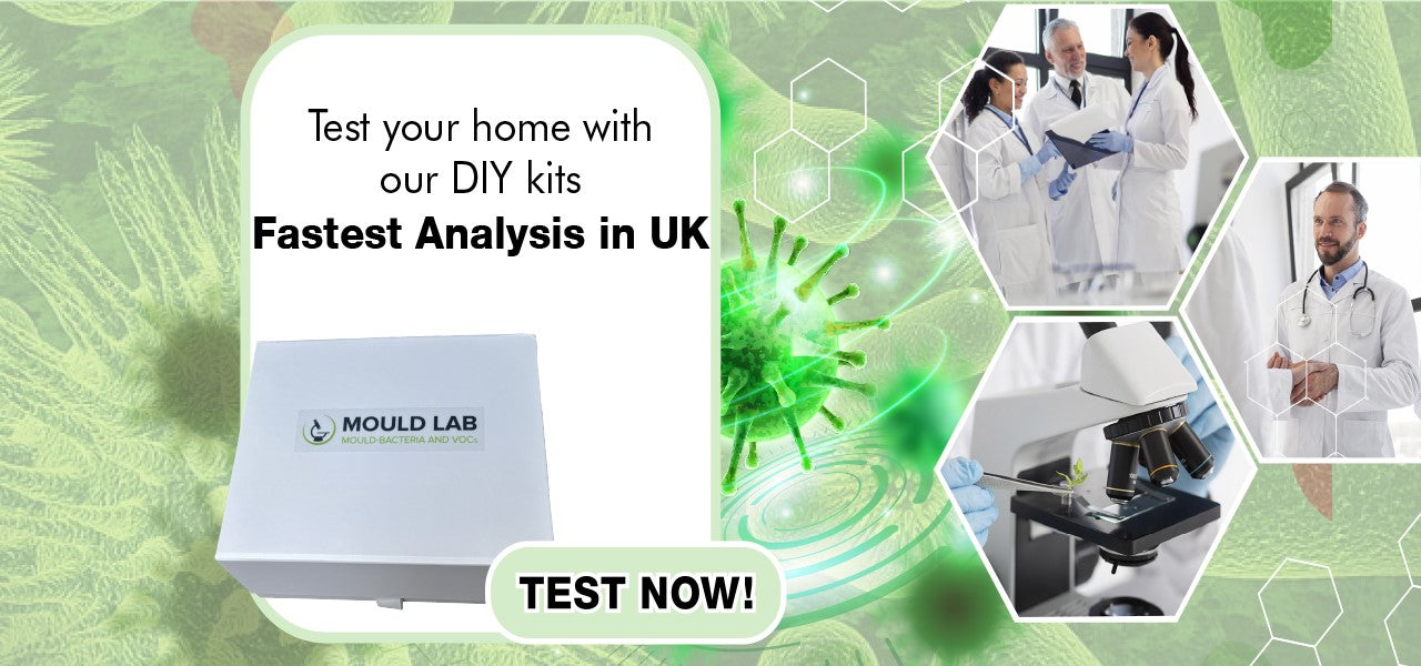Mould Lab – Mould Lab Ltd